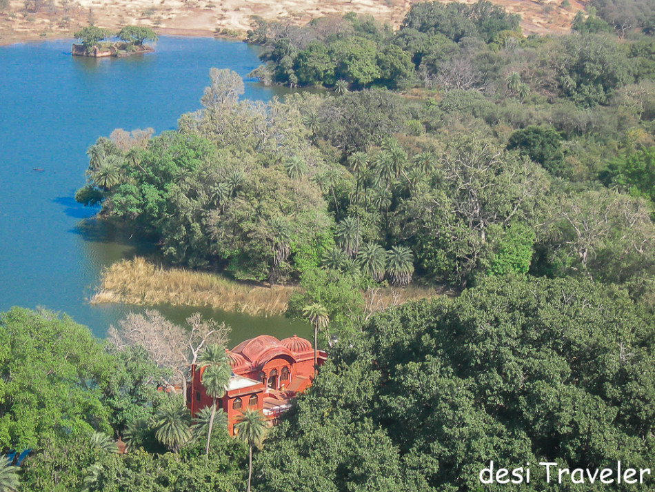 Jogi Mahal: The Palace where Tigers Rule