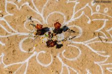 Traditional Village Rangoli designs from Pochampally Village Telangana