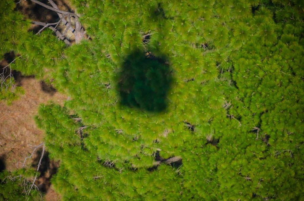 Gondola Ride - The Latest Attraction At Patnitop - desi Traveler